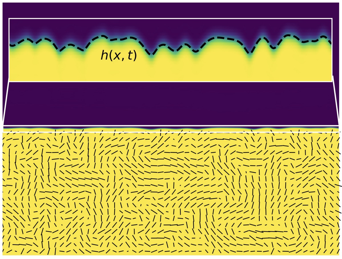Nonreciprocal interactions drive capillary waves in active liquid ...